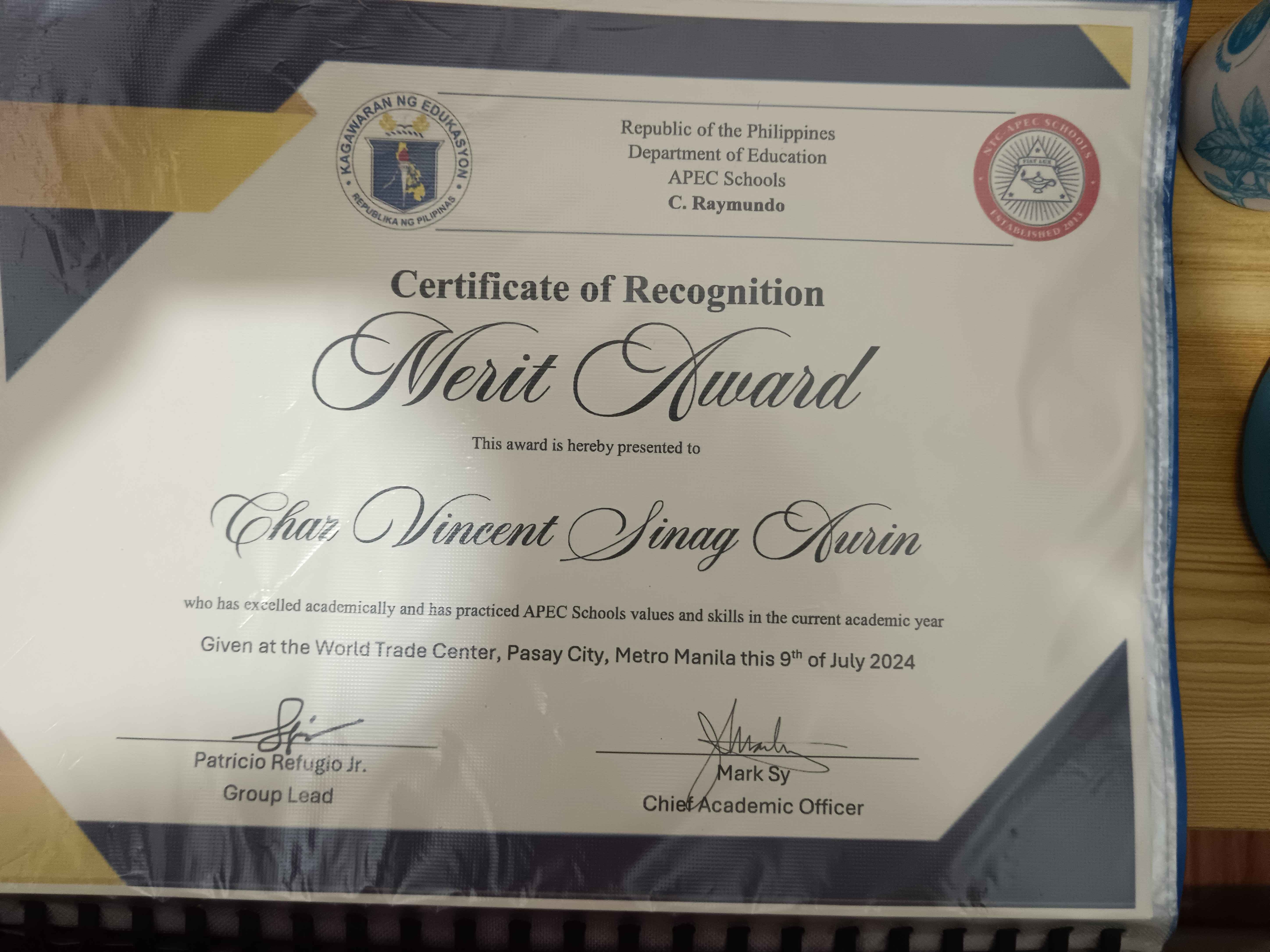 Merit Award in Grade 12